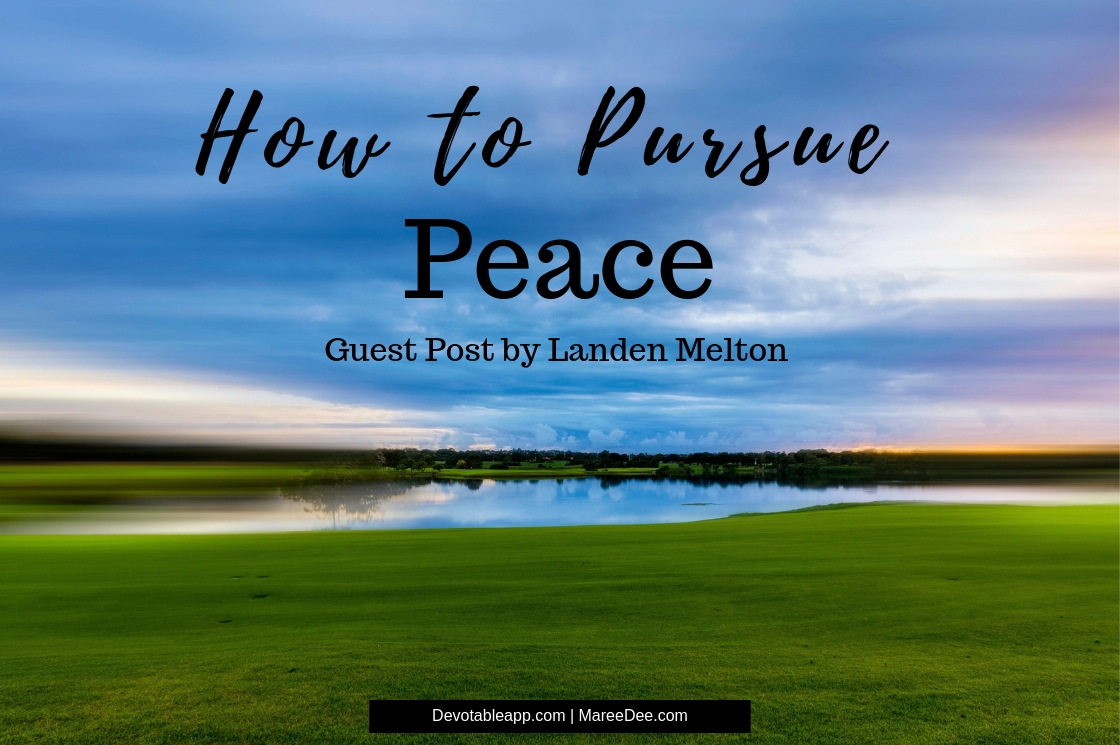 How to Pursue Peace Without the Details | Guest Post by Landen Melton ...