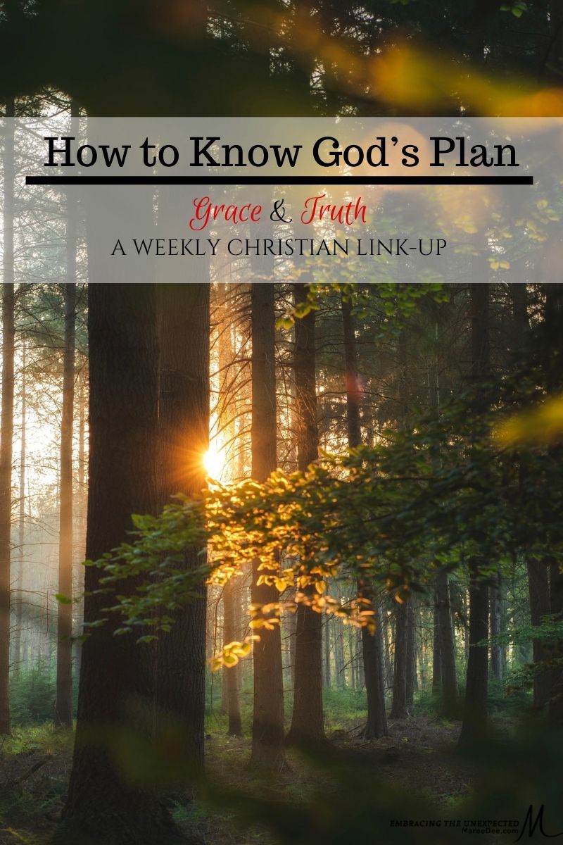 How to Know God’s Plan | Grace and Truth Link-Up - Maree Dee